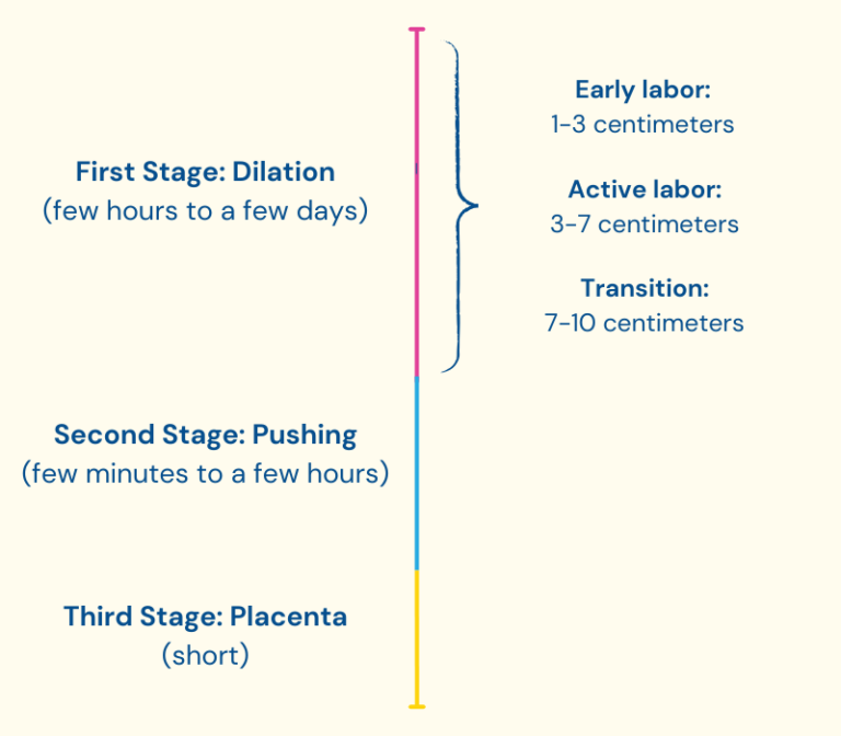 The Stages of Labor and Best Positions for Each | ParentData by Emily Oster