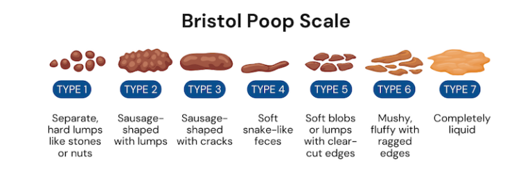 How Do I Know What “Normal” Poop Looks Like? | ParentData by Emily Oster